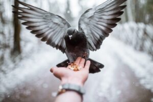 56 56 angel number meaning